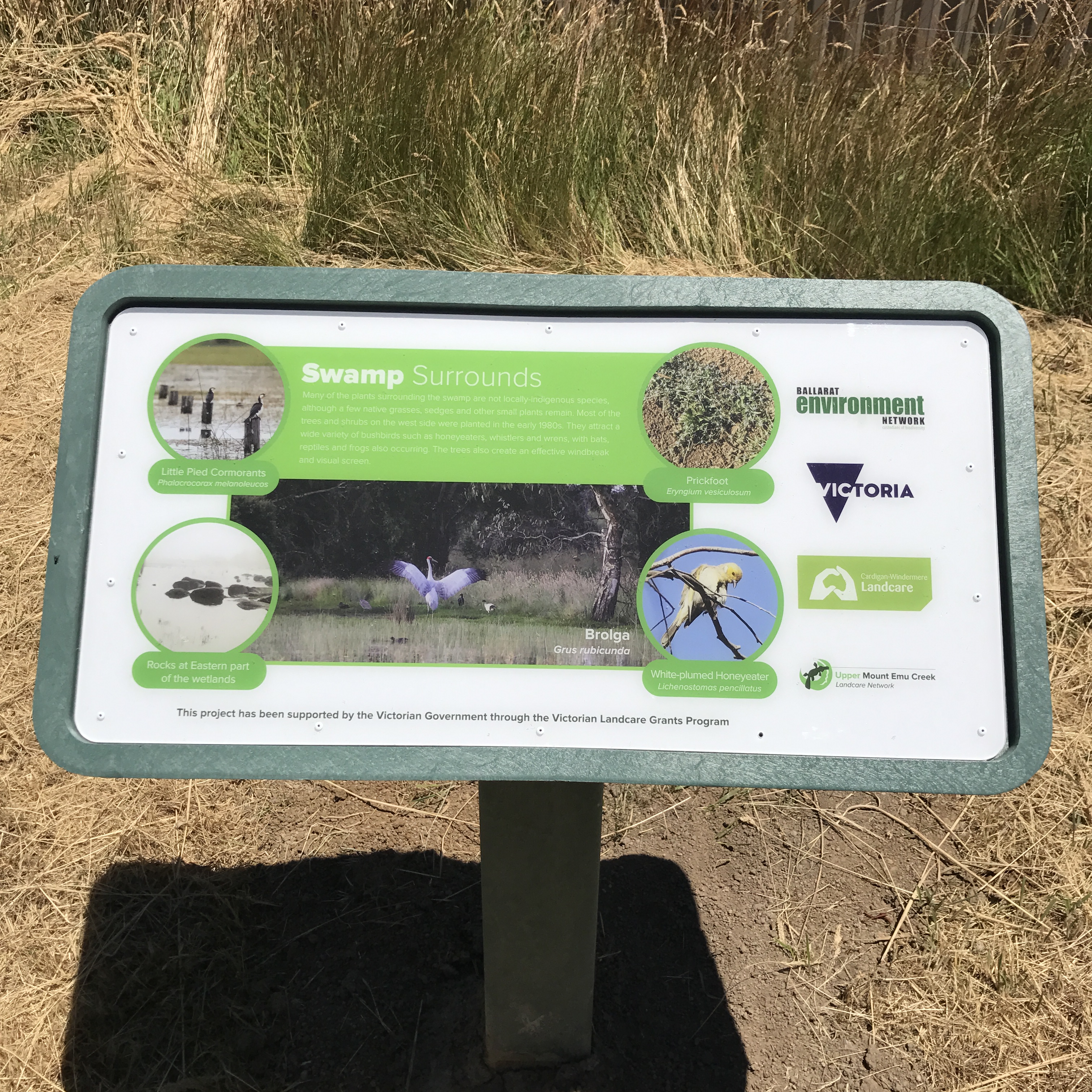 New Interpretative Signs for Mullawallah Wetlands | Highlands Landcare ...